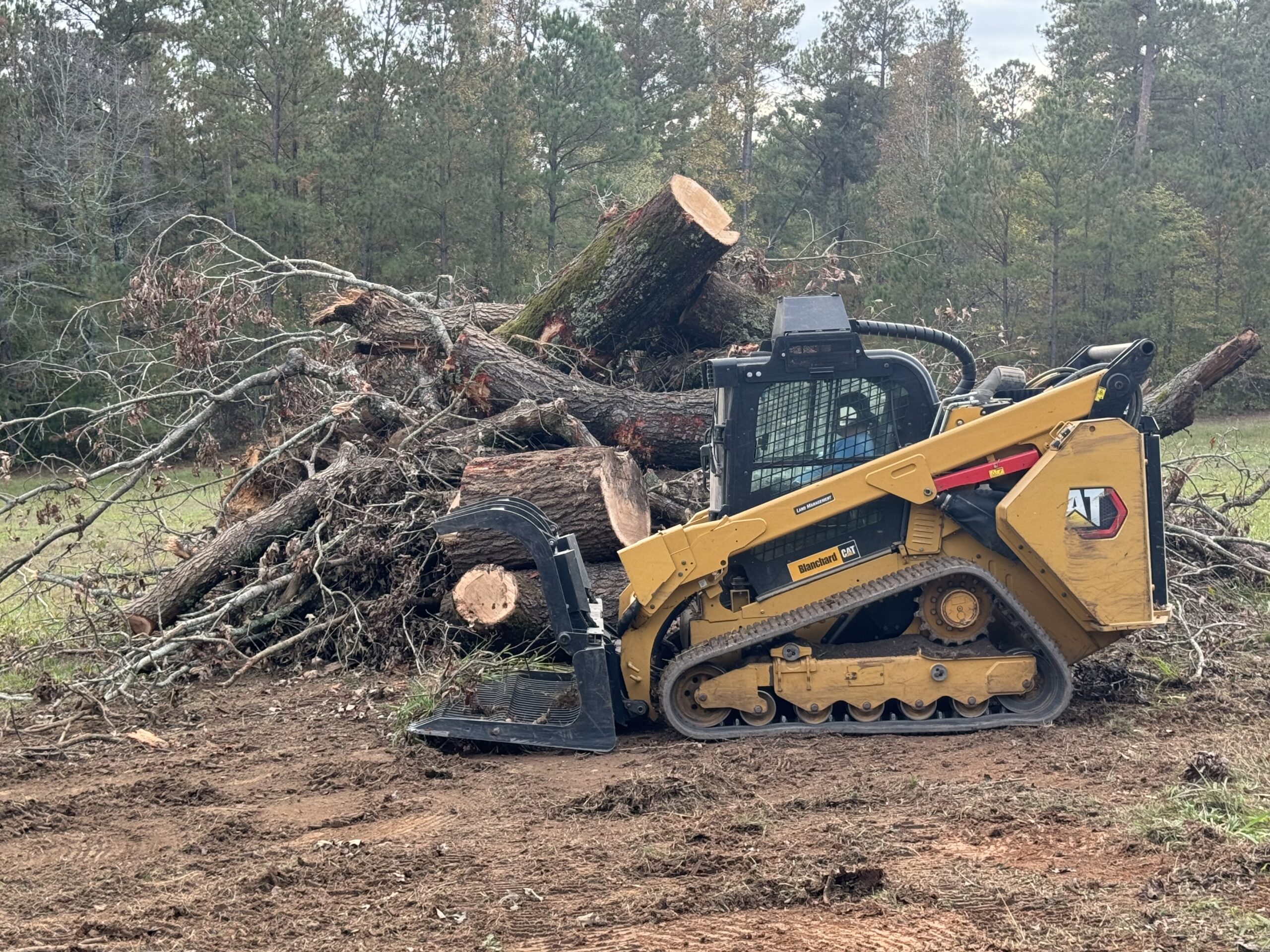 Reviews - RLTW Land Clearing LLC